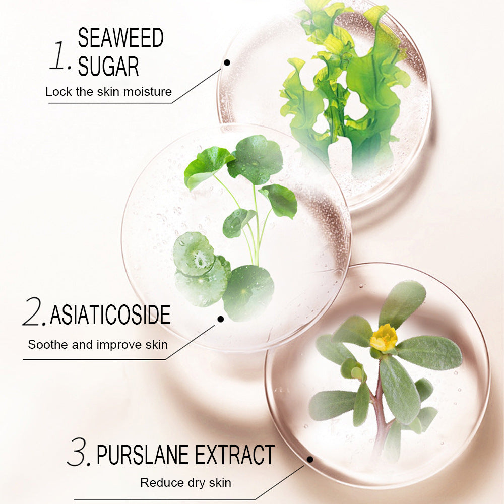 Skin Rice Mask Skin Care Products – NewBan Collective & Co.